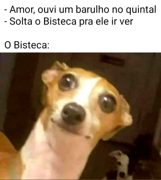 13 Memes engraçados para WhatsApp!