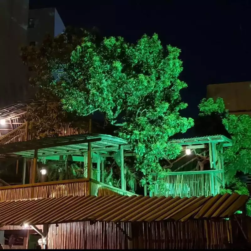 Conheça 7 bares na Zona Sul de JF!